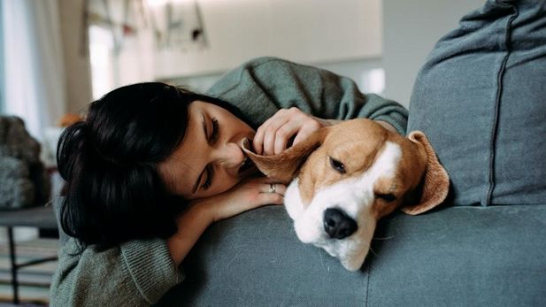 8 Strict Animal Welfare Acts Around The World We Could All Learn From ...